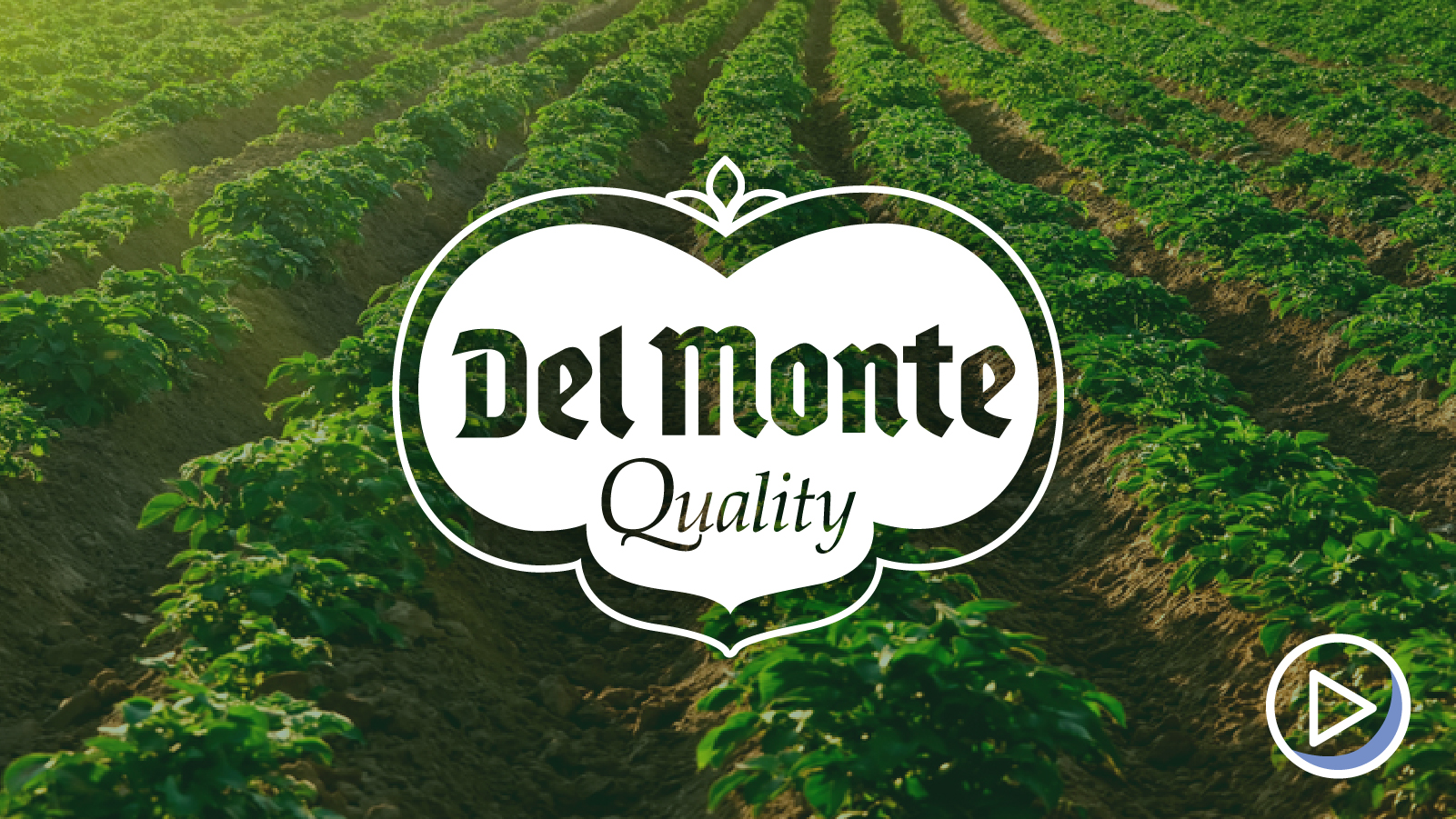 Del Monte Logo Vector