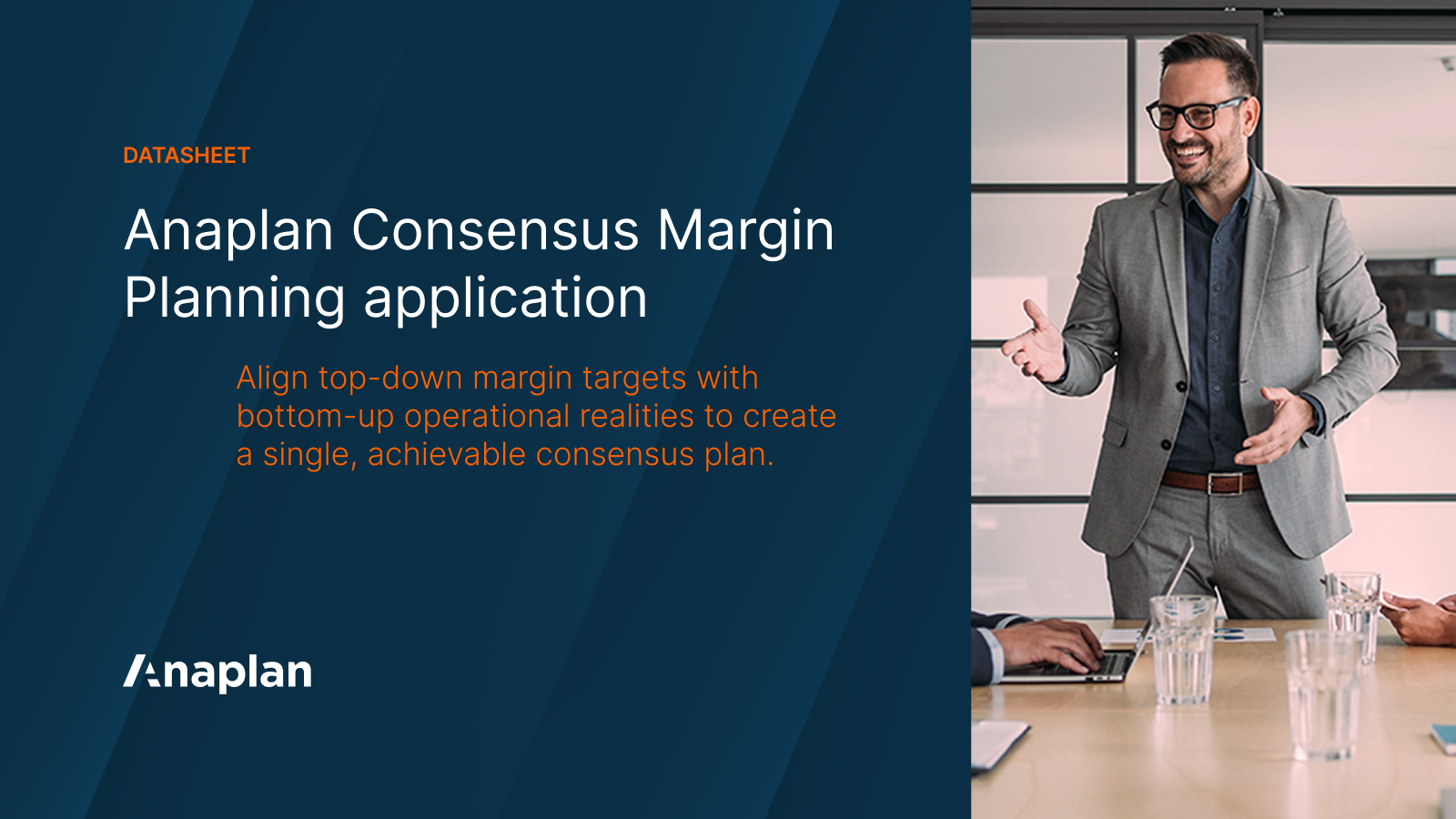 Anaplan Consensus Margin Planning Application | Datasheet