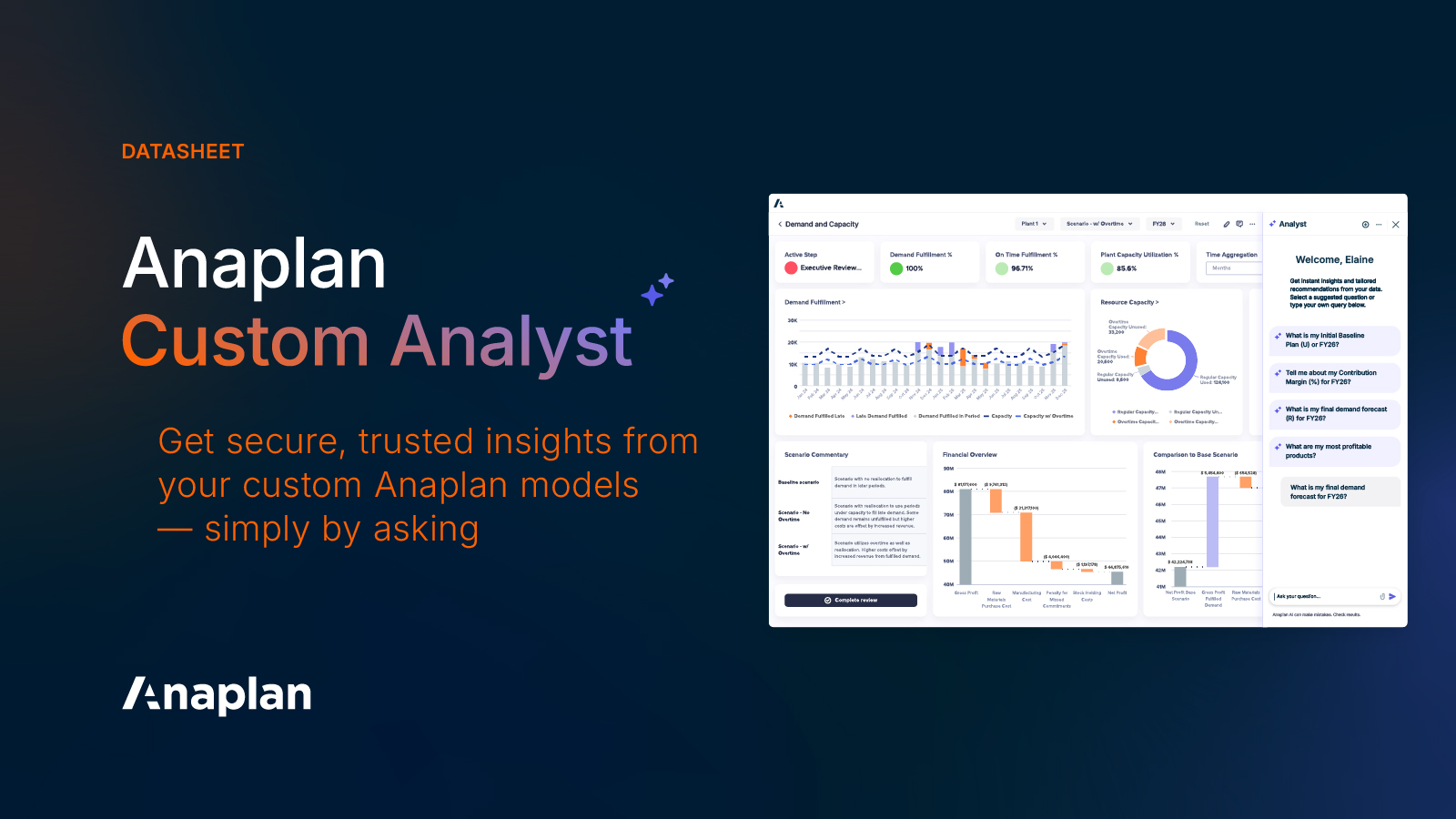 Anaplan Custom Analyst Datasheet
