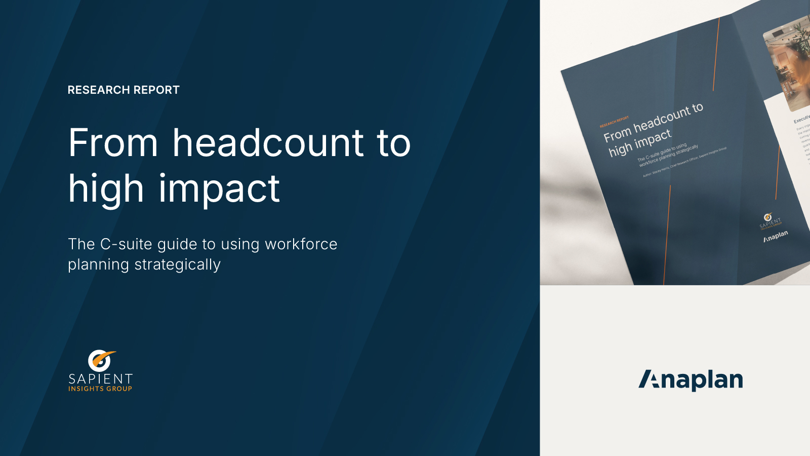 Sapient Research Report: The C-Suite Guide to Using Workforce Planning Strategically