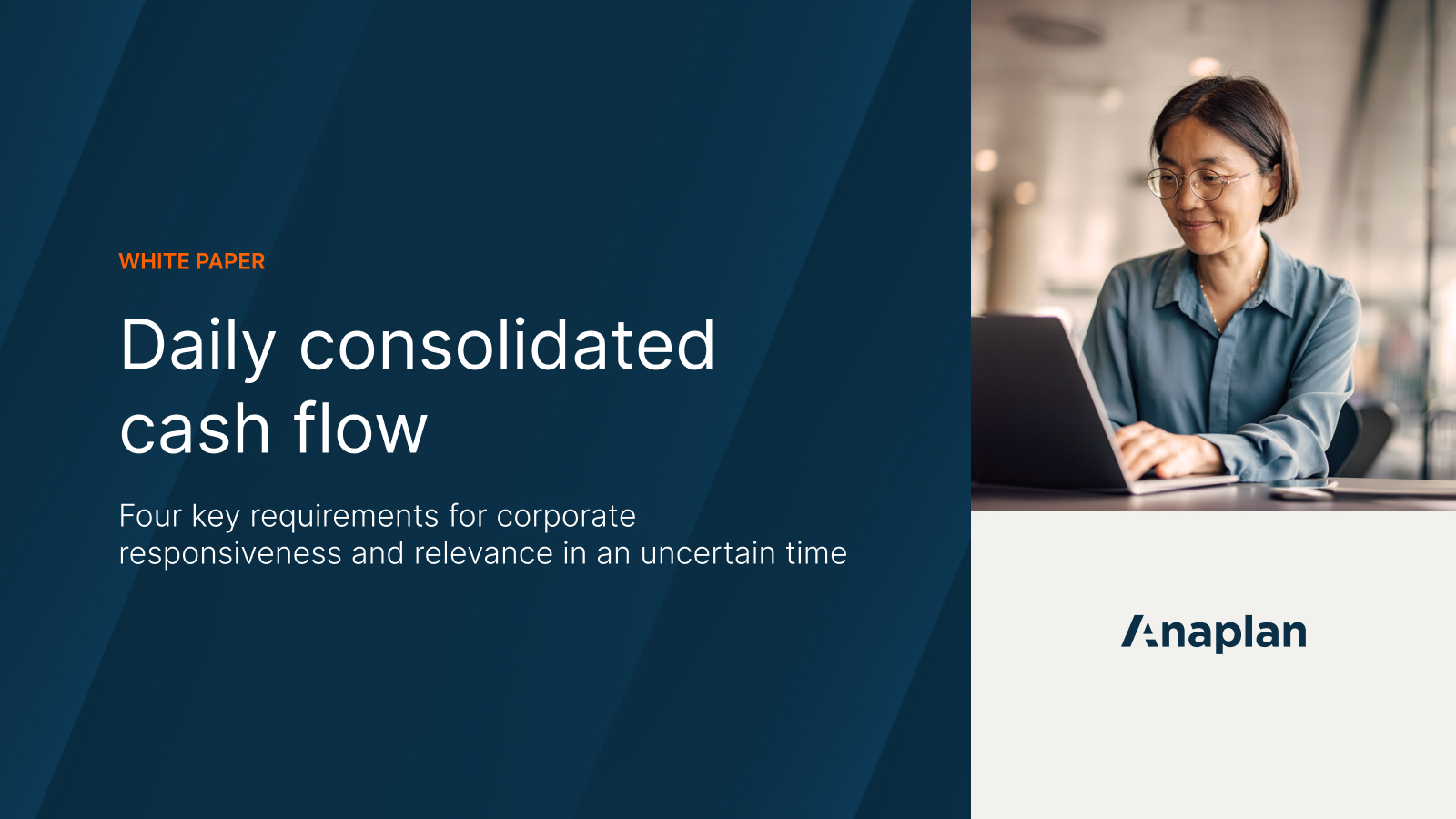 Daily Consolidated Cashflow | Anaplan Whitepaper