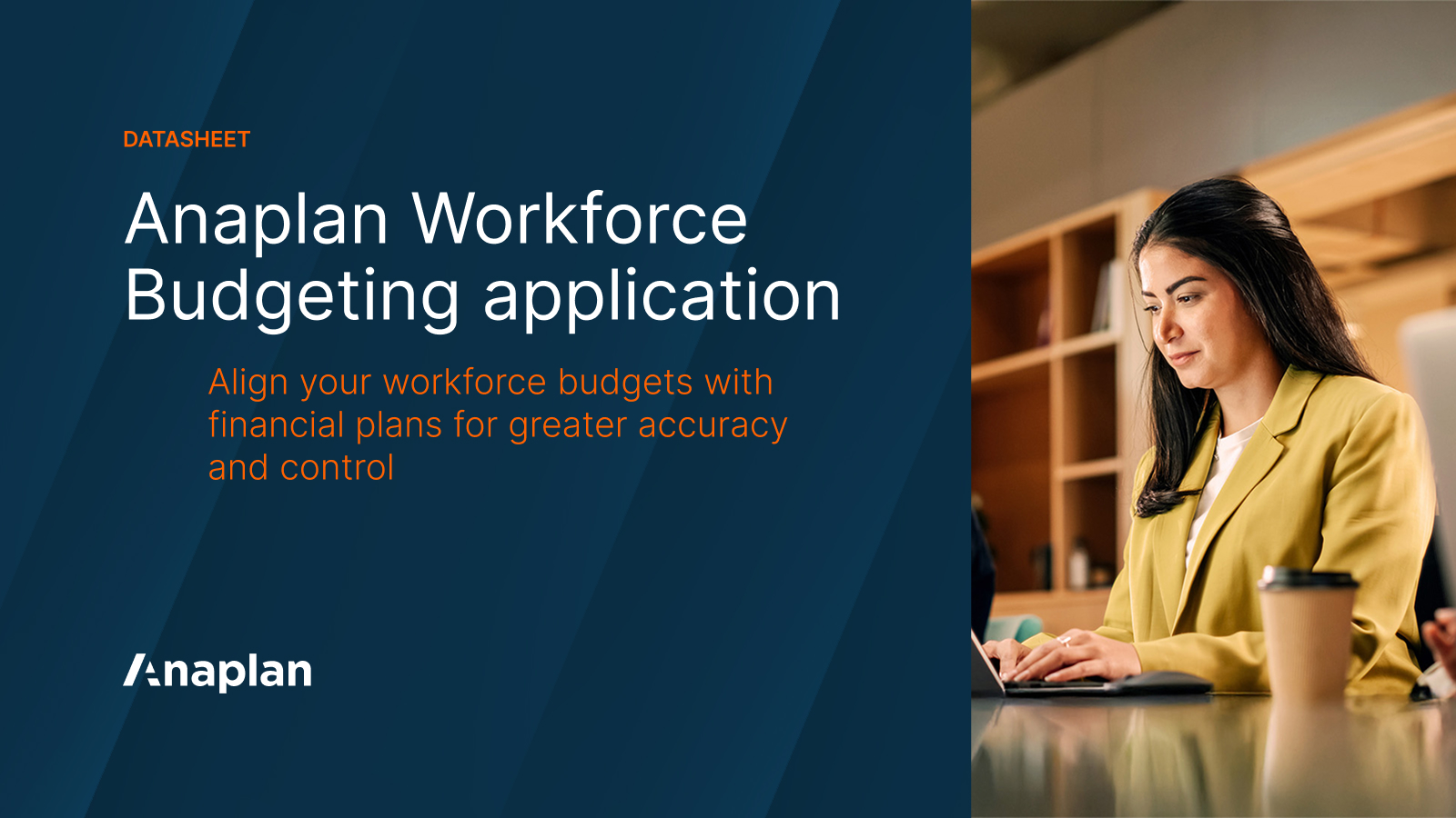 Anaplan Workforce Budgeting Application Datasheet